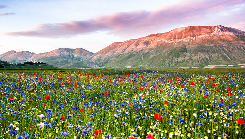 WELCOME SPRING! HERE ARE THE MOST BEAUTIFUL ITALIAN ROUTES TO TRAVEL ...